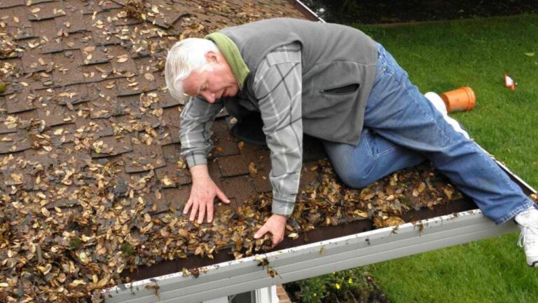 5 Ways for Cleaning Your Gutters From the Ground - Green Poison