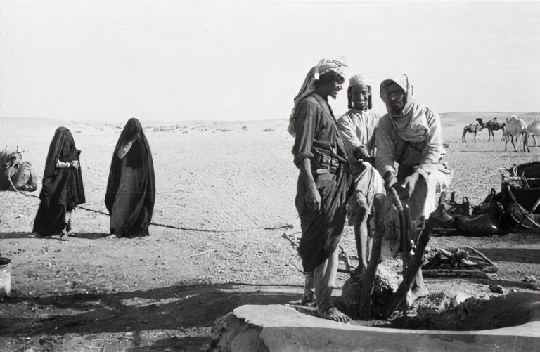 The Kingdom Of Saudi Arabia: From Tribes To Modern State - Green Poison