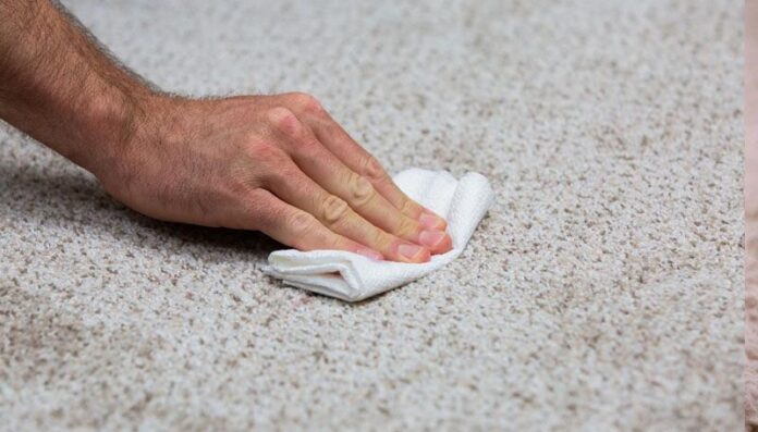 Can You Remove Wood Furniture Stains from a Carpet? - Green Poison