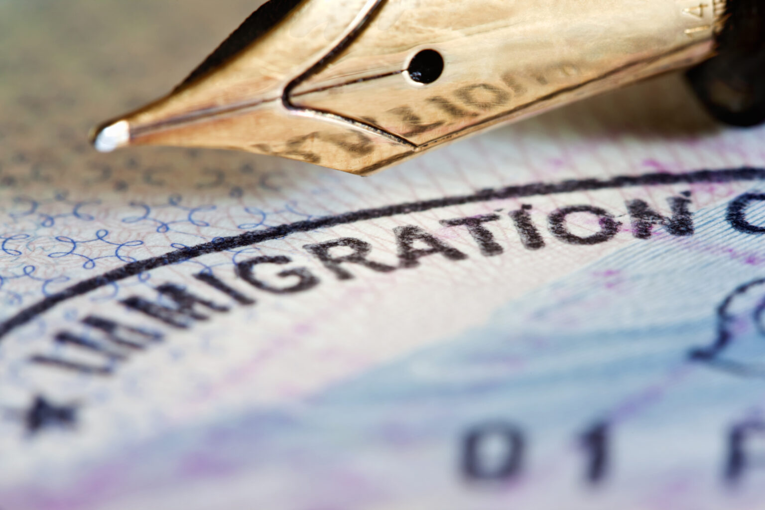 Understanding the Immigration Evaluation Process from Start to Finis ...