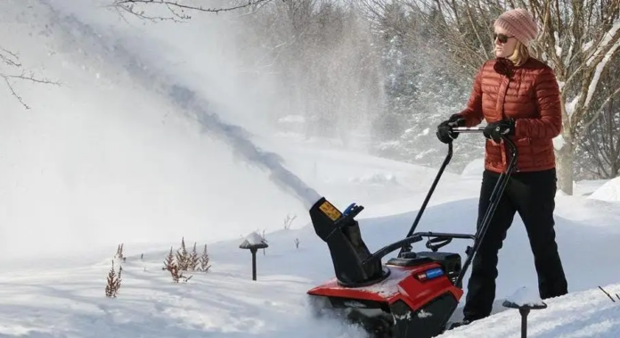 What to Do With Snow in The Garden? - Green Poison