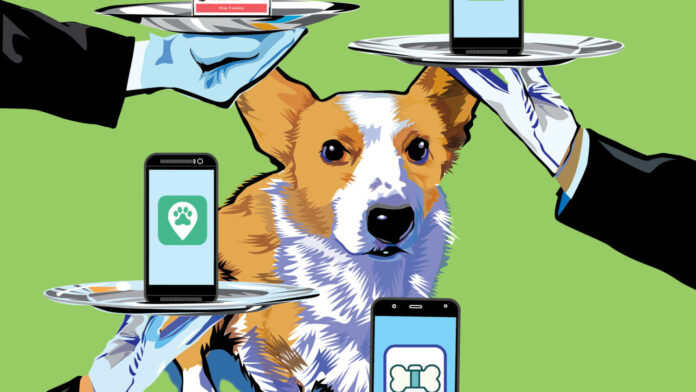 Rise of Technology in Pet Care: From Smart Feeders to GPS Trackers ...