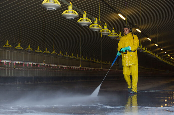 7 Tips for Maintaining and Cleaning Poultry Farming Equipment - Green ...