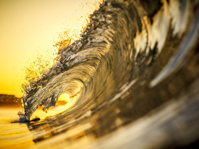 Riding the Golden Wave – Eco Style! - Green Poison