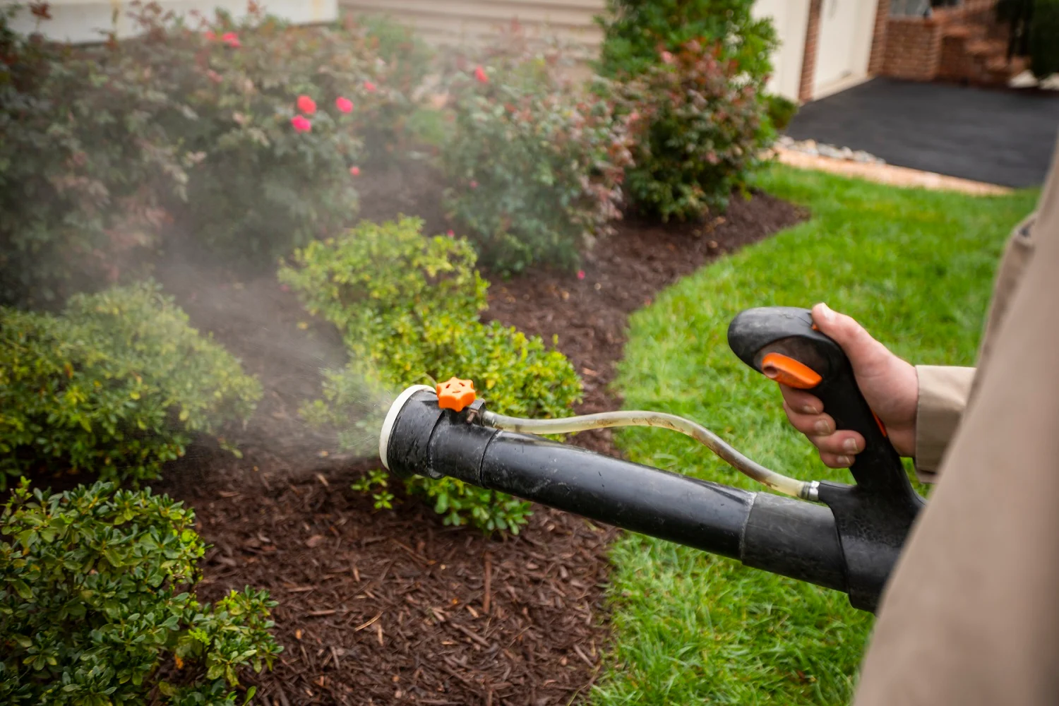 The Art of Mosquito Control: Creating a Pest-Free Backyard Haven