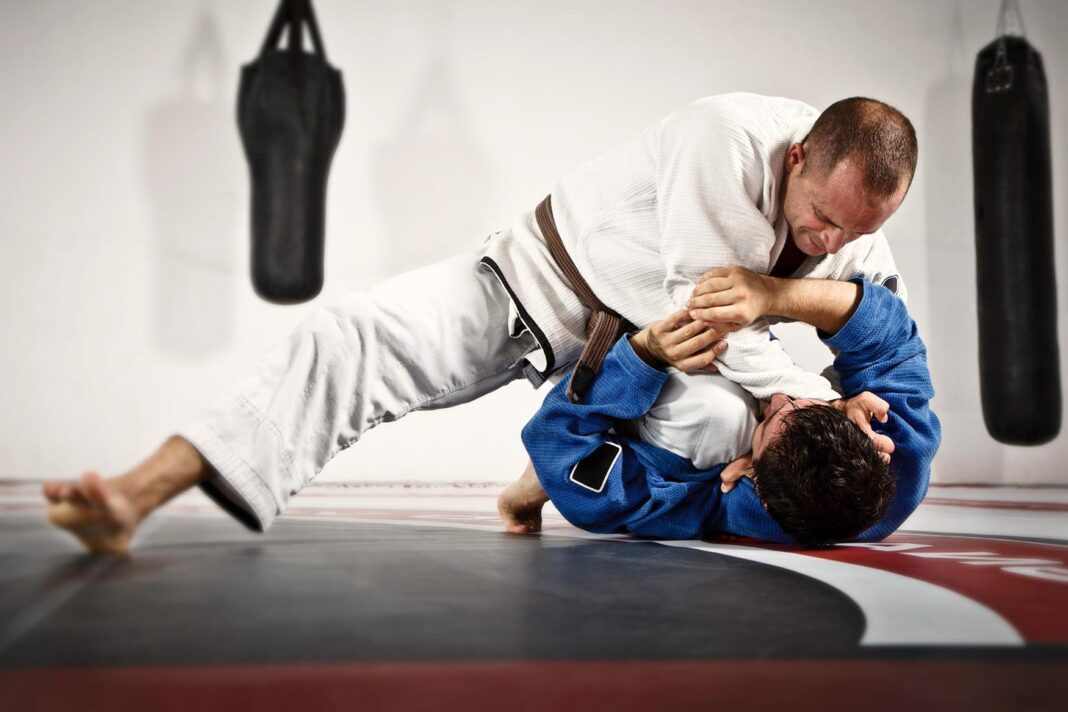 Ground Game Mastery ─ The Beginner's Guide to Jiu Jitsu Success - Green ...